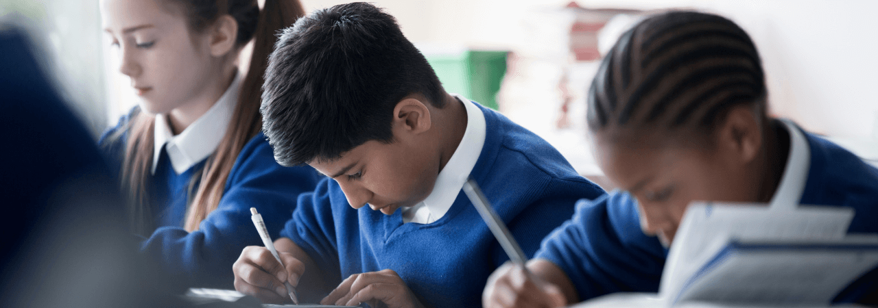 Scarborough’s Reading Rope - Sounds-Write